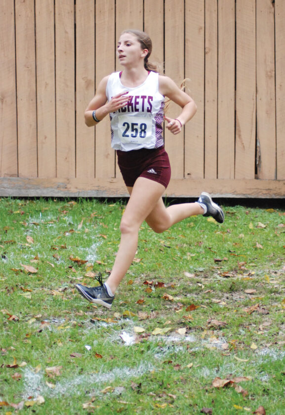 Williamstown girls cross country team wins regional; Yellowjacket boys ...